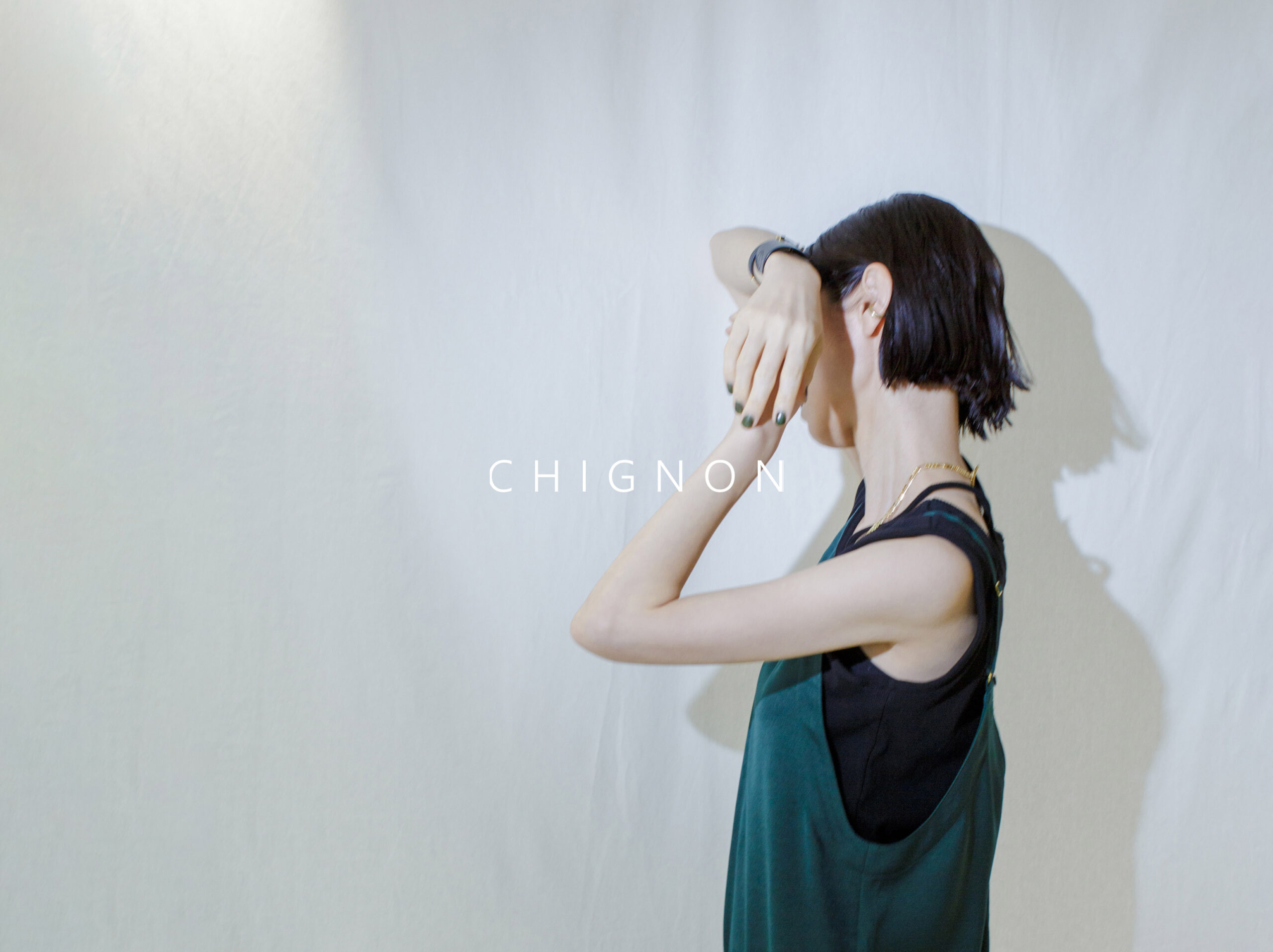 COLLECTION - CHIGNON